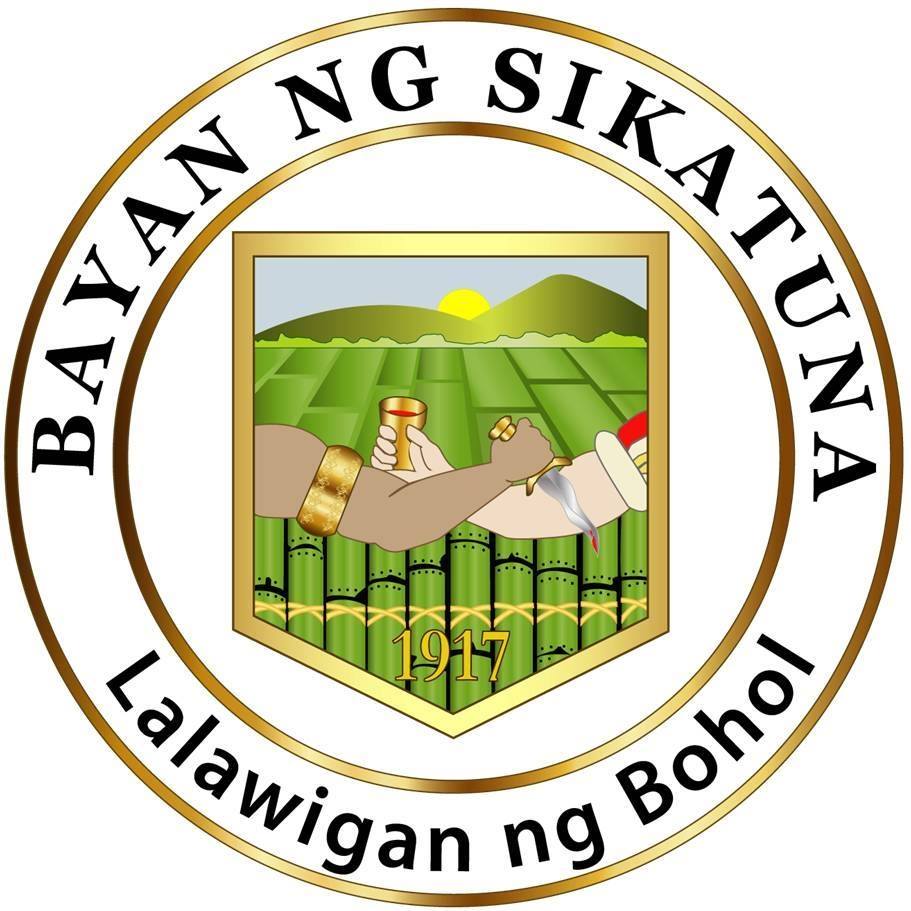 Woman gets hit by a truck in Sikatuna town - Bohol Tribune