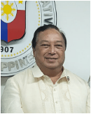 Visayas Dev't Panel looks at the feasibility of building bridges to ...