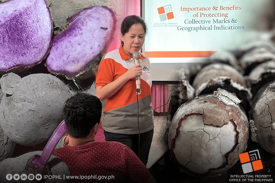 Bohol's Kinampay ube and Asin Tibuok added to list of products granted ...